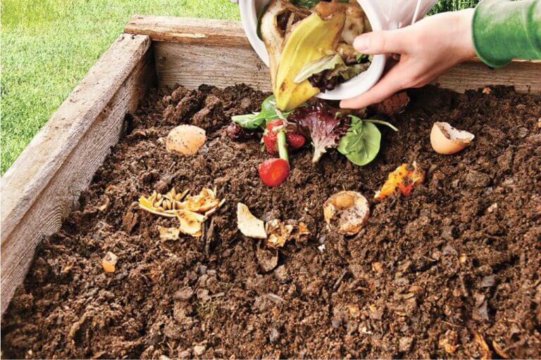 How To Make Sure Old Food Scraps Never Go To Waste